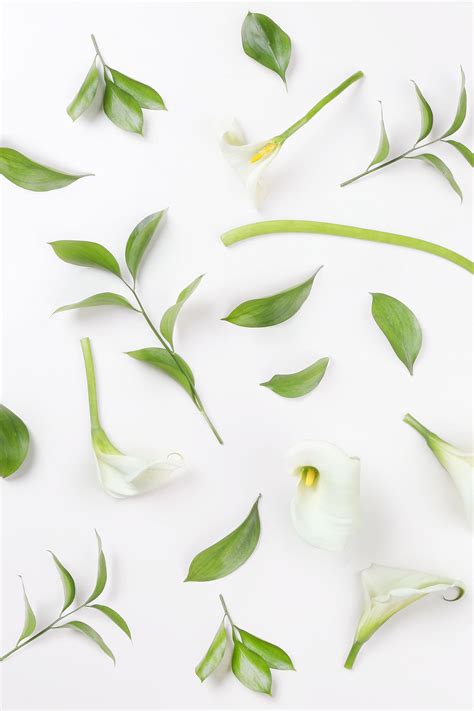 Our Products Olive Lifesciences Bengaluru