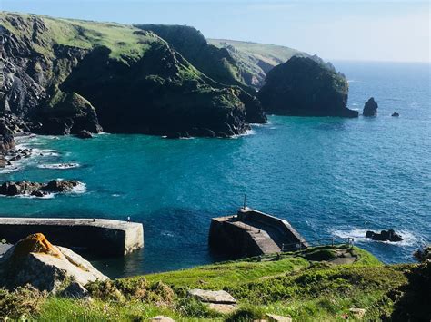 Clifftop Cottage Mullion Cove Lizard Seagull Holiday Bungalow