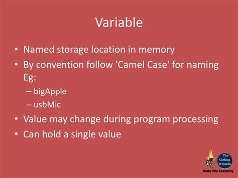 Storage In Programming Ppt