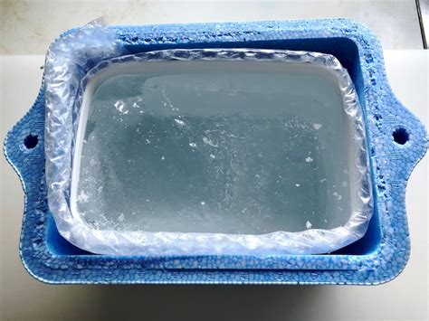 かき氷用の透明な氷の作り方 100均の発泡とタッパーで作ったよ！ いち歩