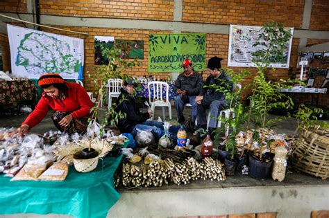 Carta Da 12ª Jornada De Agroecologia Jornada De Agroecologia