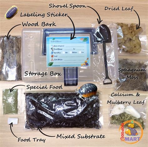 Ready Made Isopod Setup Kit Lazada