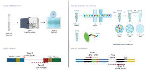 Starsolo Single Cell Quantification In Omicsbox