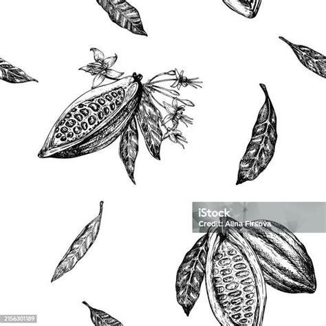 코코아 과일 그래픽 일러스트 레이 션 야채 나뭇잎 꽃의 손으로 그린 스케치와 완벽 한 패턴 열 대 과일의 식물 그림입니다 식품 포장 디자인을 위한 인그레이빙 0명에 대한