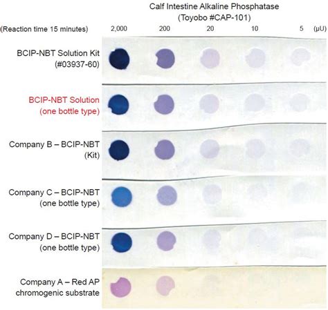 Nacalai USA Inc Product BCIP NBT Solution Ready To Use