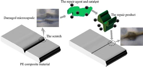Schematic Diagram Of Self Healing Behavior Of Pe Microcapsules