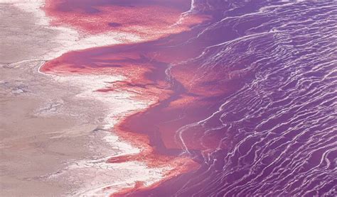 Abstraction N Abstract Nature Critiques Nature Photographers Network