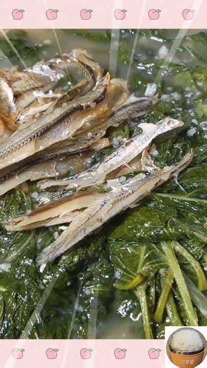 깻잎 멸치 조림 뭐먹지 Youtube