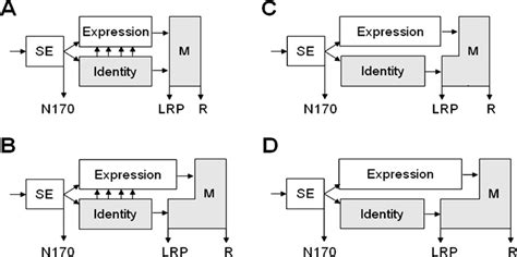 Schematic Illustration Of The Parallel Dependent Models Predicted