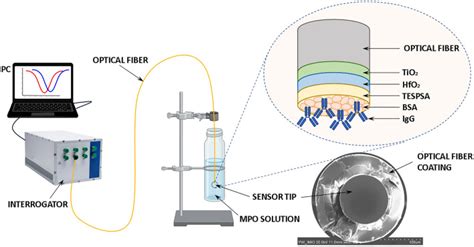 Double Layer Optical Fiber Interferometer With Bio Layer Modified