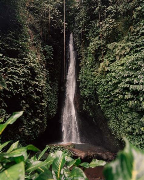 A Guide To The Stunning Leke Leke Waterfall Bali The Common Wanderer