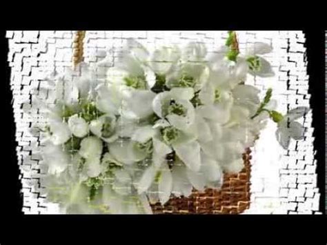 LA MULTI ANI GALINA YouTube