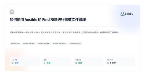 如何使用 Ansible 的 Find 模块进行高效文件管理 Labex