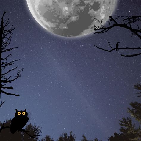 Night Owl Optimization — Master Your Sleep Without Meds
