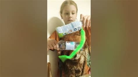 1 часть пушистик байла🐛 - YouTube