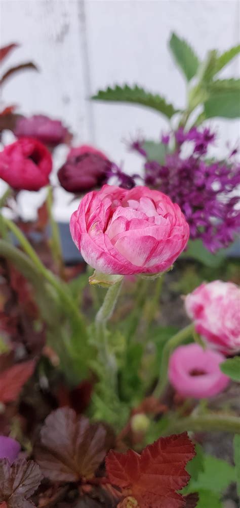 Matt Rich Photography My Mentor Rodger Newbold Left And I On A Photo Tour Facebook