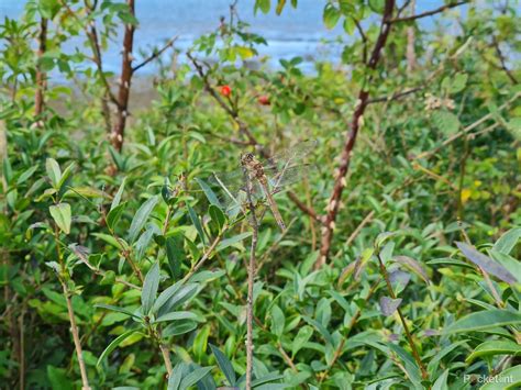 Samsung Note Review Is The Smaller Note The Big Winner