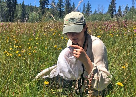 2023 Field Science Fellows Natural Reserve System