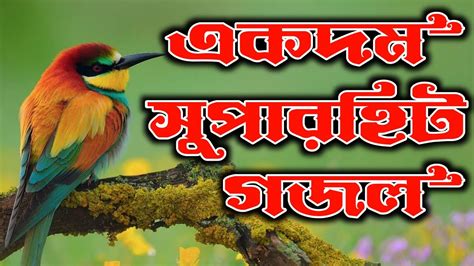 একদম সুপারহিট গজল Bangla Gojol Bhalo Gojol Islamic Gazal Gojal Htv