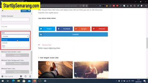Tutorial Tampilan Social Sharing Wordpress Dengan Theme Oceanwp Startup Semarang