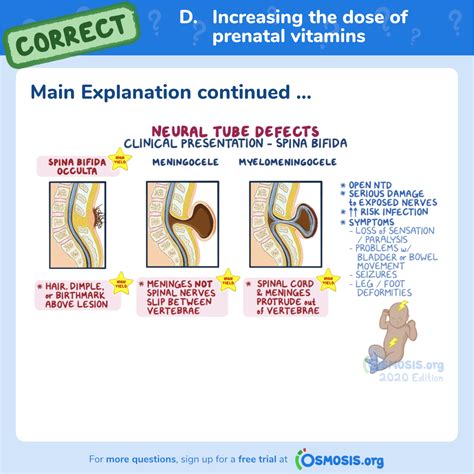 Neural Tube Defects What Society Can Do For Patients And Families