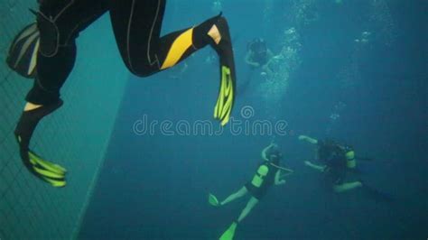 Legs Of Diver Many Bubbles And Other Divers Out Stock Video Video Of Active Gesture 323965949