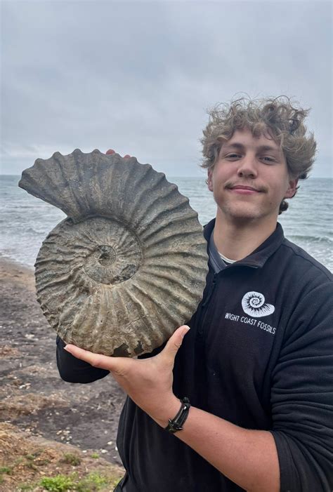 Natural Selection Fossils Natural Selection Fossils