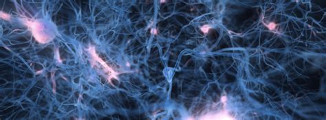 Scientists Have Created The Worlds First Artificial Neuron 311 Institute