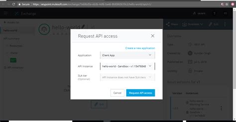 API Manager Auto Discovery MuleSoft Policy Configuration