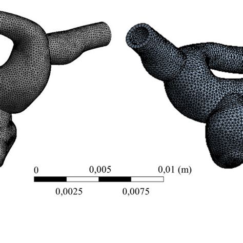 A Tetrahedral Mesh For The Ansys Fluent Using 1500 Elements Mm 3 Download Scientific