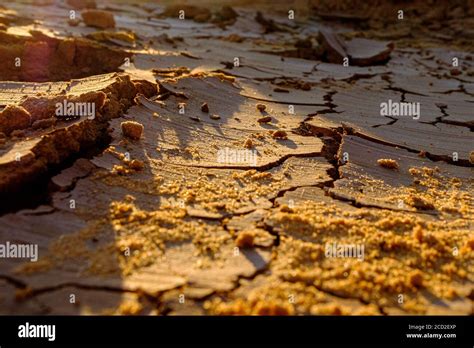 An Overhead View Of A Natural Mosaic Formed By Cracks In Dry Clay Soil