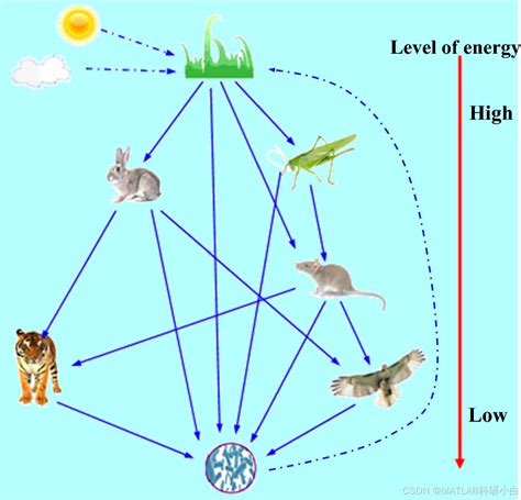 【元启发式优化算法】人工生态系统优化算法（aeo） aeo算法 csdn博客