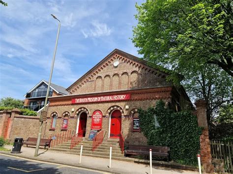 Best Galleries And Museums In Brighton — Local Guide 2026