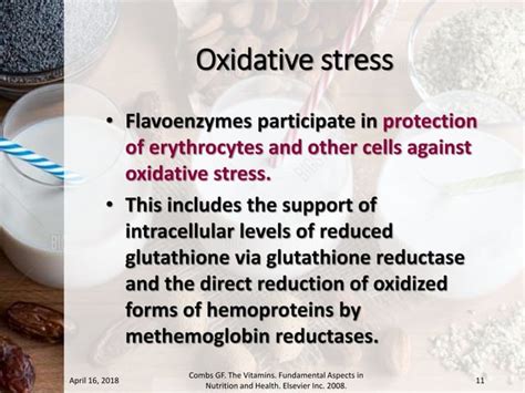 Metabolic Functions Of Riboflavin Ppt