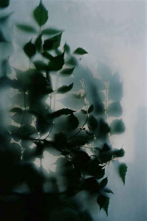 თიბისი X Kolga თიბისი კონცეპტის მულტიფუნქციური სივრცე ორ ახალ გამოფენას უმასპინძლებს