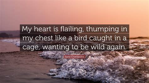Sona Charaipotra Quote “my Heart Is Flailing Thumping In My Chest Like A Bird Caught In A Cage