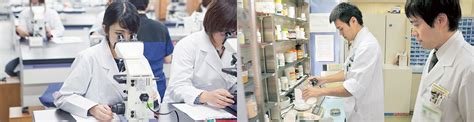 薬剤師になる