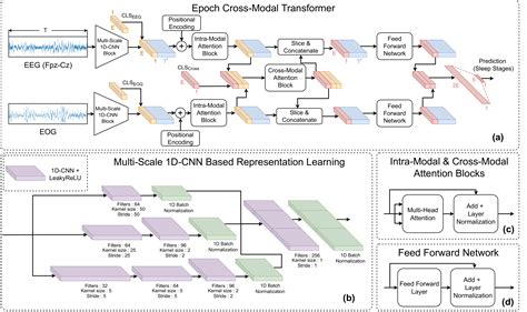 Github Jathurshan0330 Cross Modal Transformer Official Repository Of Cross Modal Transformer