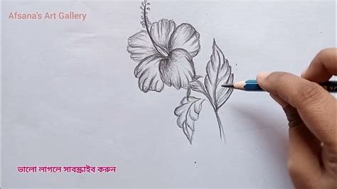 কিভাবে হিবিস্কাস ফুল আঁকা যায়।joba Ful Art Hibiscus Drawing Flower