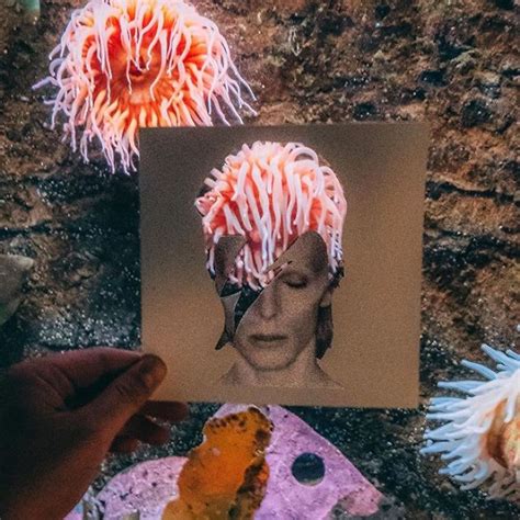 Cet Artiste Utilise Des Bouts De Papier Pour Transformer Son Quotidien