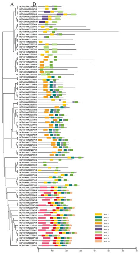 Genome Wide Identification And Expression Profile Analysis Of The Hsp20