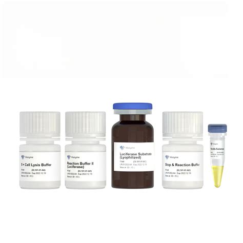 Tunel Apoptosis Assay