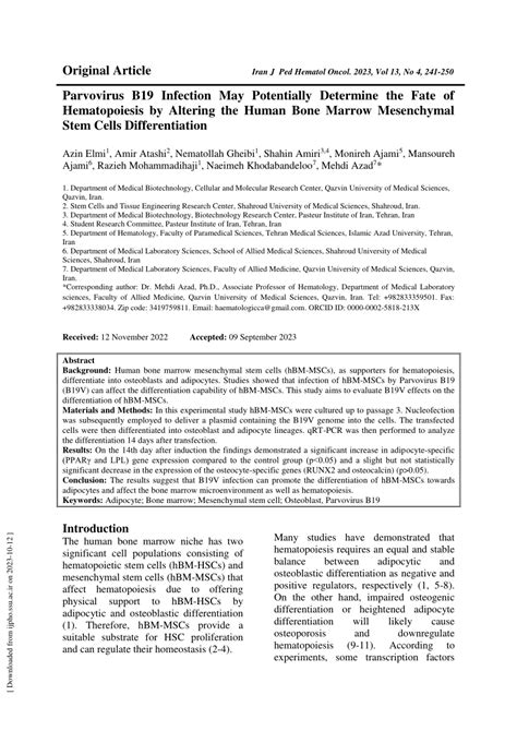 Pdf Parvovirus B19 Infection May Potentially Determine The Fate Of