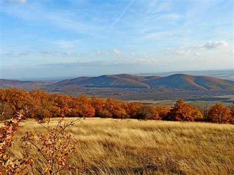 Клуб за приключения сред природата Зелена Странджа