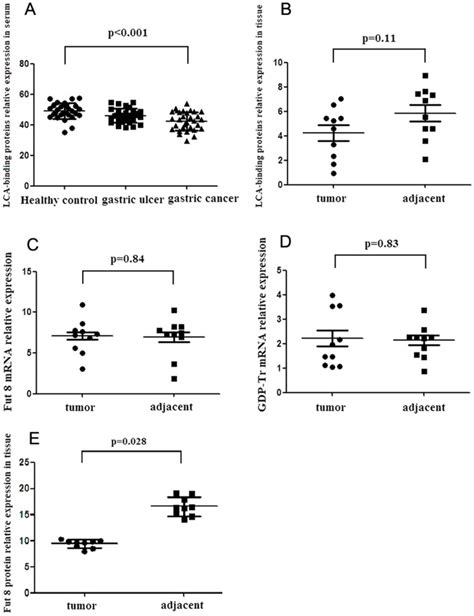 A Lectin Blots Of Serum Proteins Were Probed With Lca The Horizontal