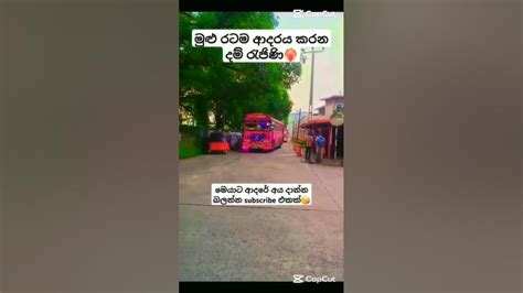 💖💖දම් රැජිණට ආදරේ අය චැනල් එක සබ්ස්ක්‍රයිබ් කරන්න ️ ️💖 ️ ️💖 ️ ️💖 Youtube