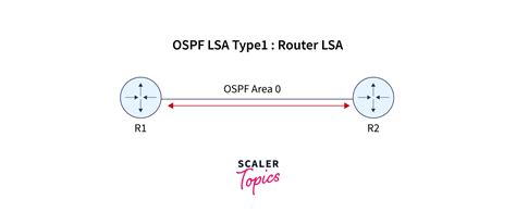 Link State Advertisement Scaler Blog