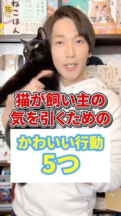 猫が飼い主の気を引くためのかわいい行動5つ 猫 猫のいる暮らし ねこ Youtube