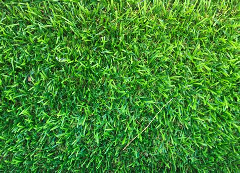 Beautiful Green Grass Pattern From Golf Course For Background Copy