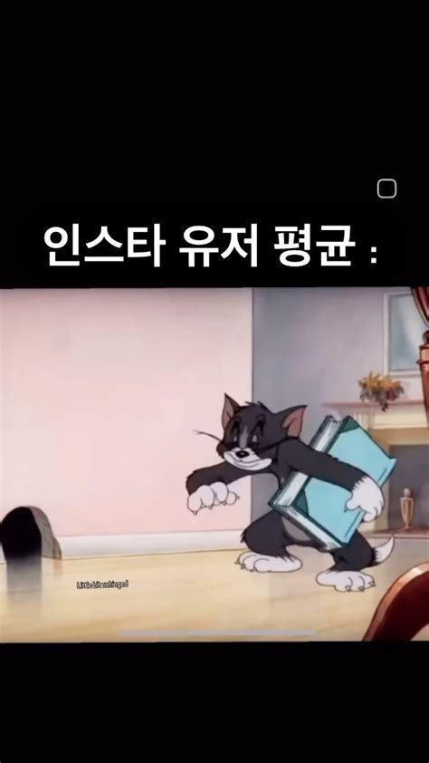상남자밈 팔로우해라 남자를 위한 존 나 웃긴거만 올린다 해외밈 스포츠 힙플밈 후드밈 후드 후드에서살아남기 상남자 바프 헬스 헬스장 Instagram